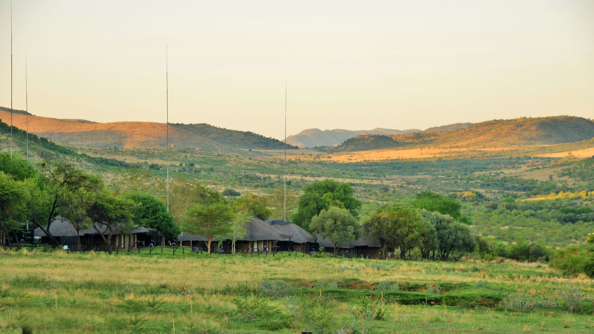 Timeshare | Bakubung Bush Lodge