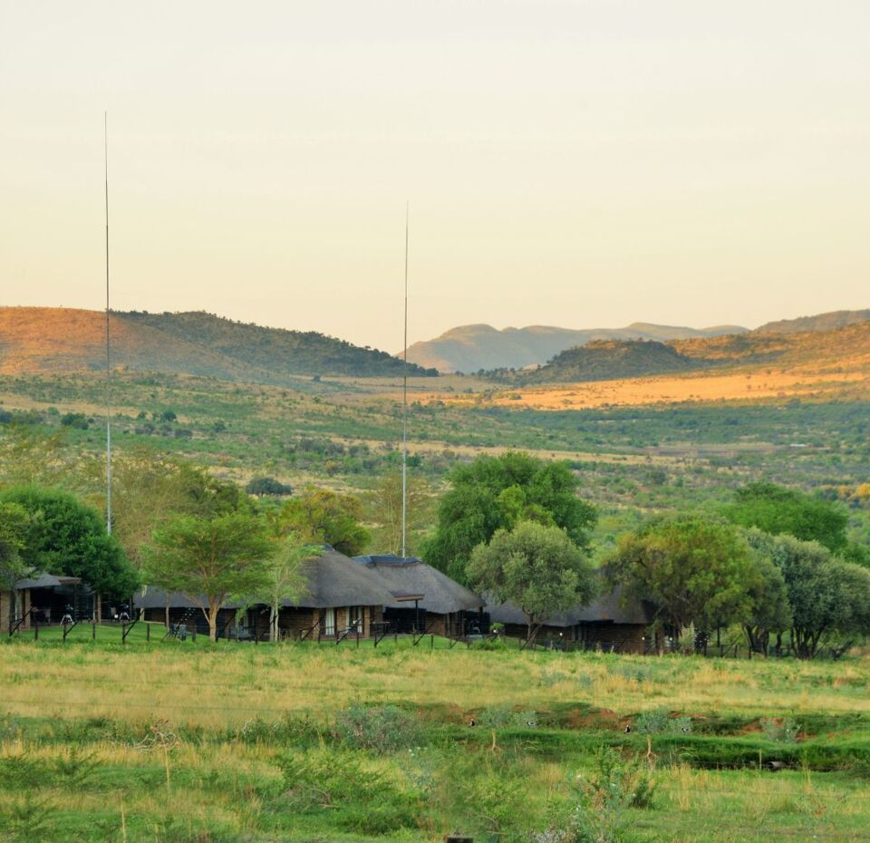 Bakubung Bush Lodge | Bakubung Bush Lodge