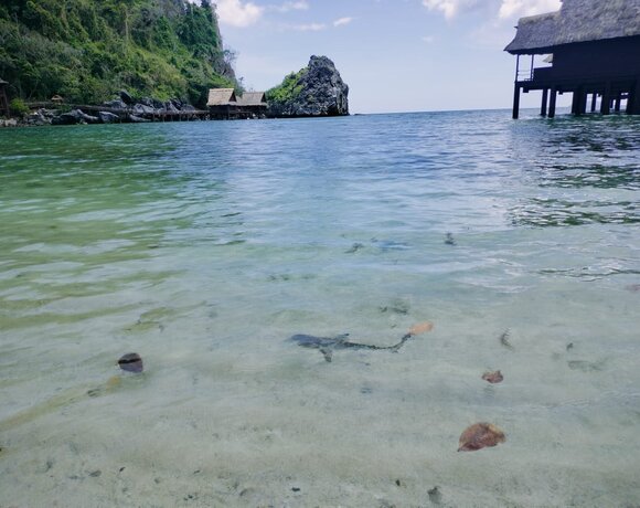 Activities | Cauayan Island Resort