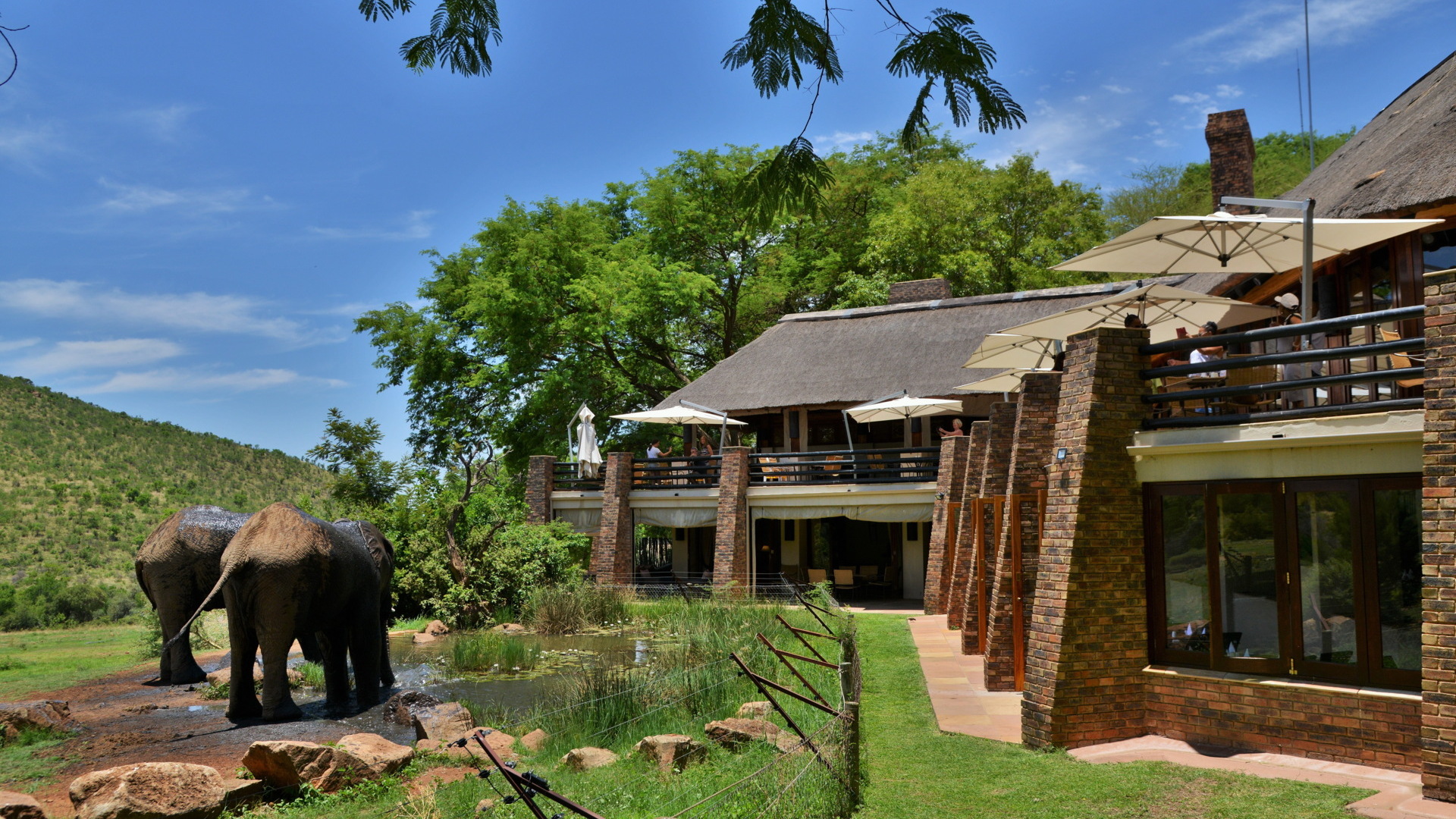 Kwa Lefikeng Restaurant | Kwa Maritane Bush Lodge