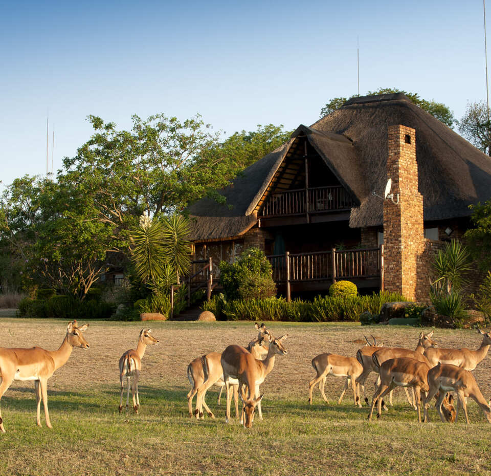 Legacy Timeshare | Legacy Hotels and Resorts