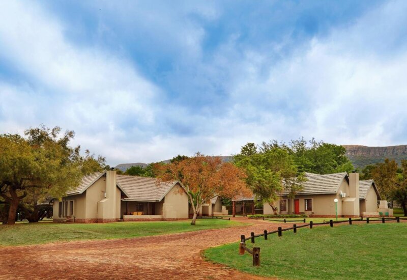 Gallery | Magalies Park