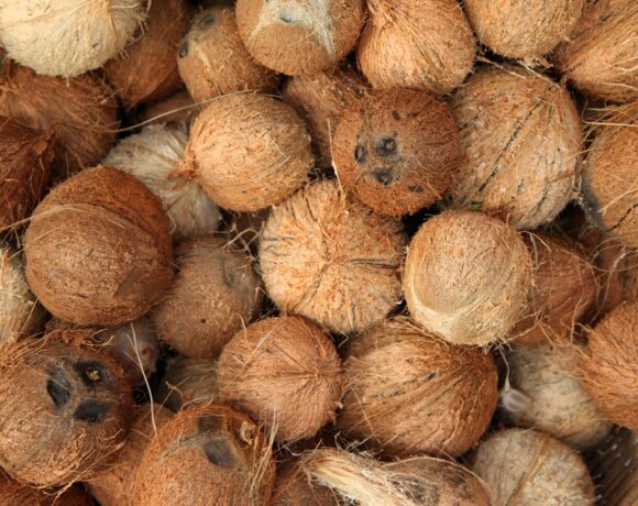 Activities | Mnarani Beach Club