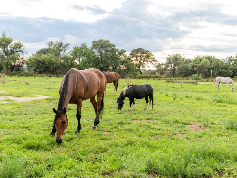 Midgard Activities | O&L Leisure Hotels