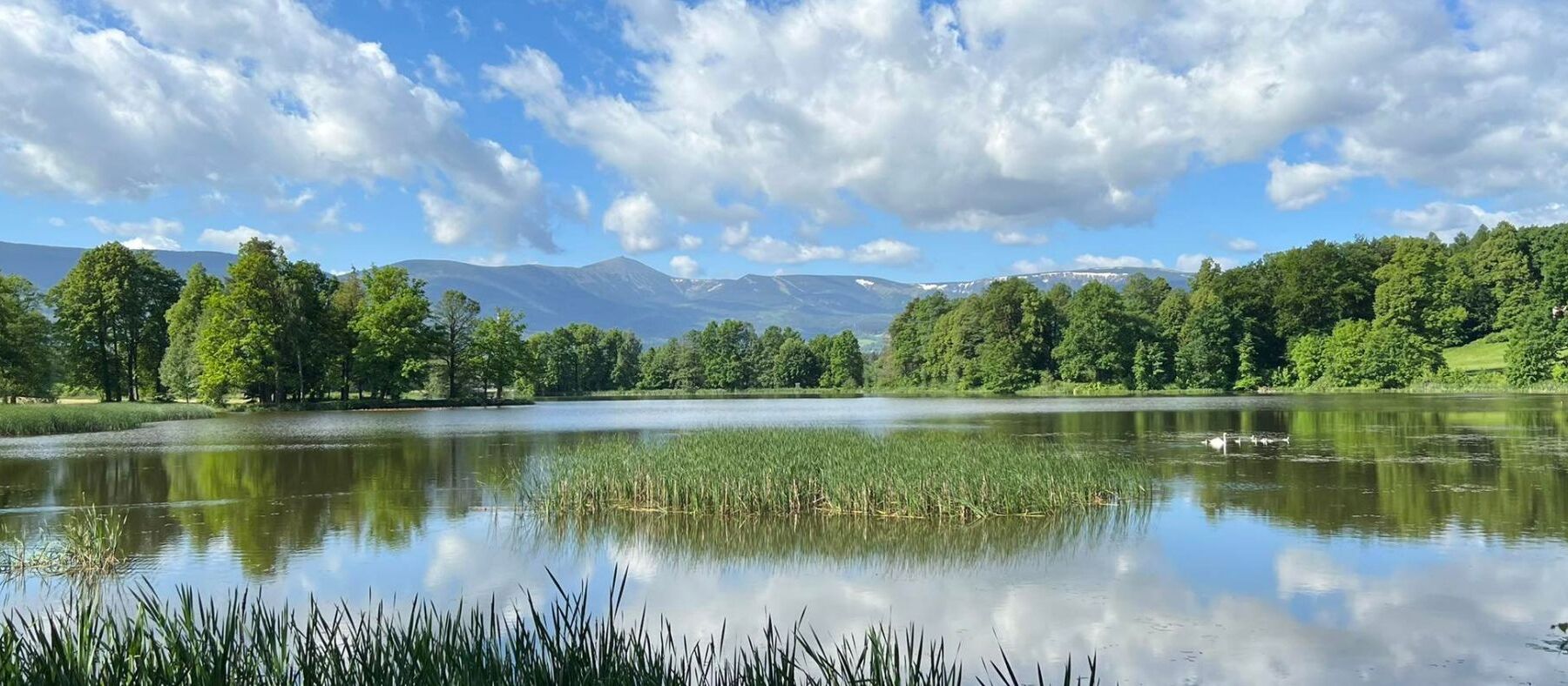 Ornamental Farm Bukowiec | Osada Śnieżka