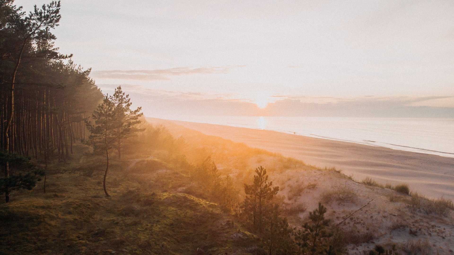 Pakiety pobytowe nad morzem | Saltic Resort & SPA Grzybowo