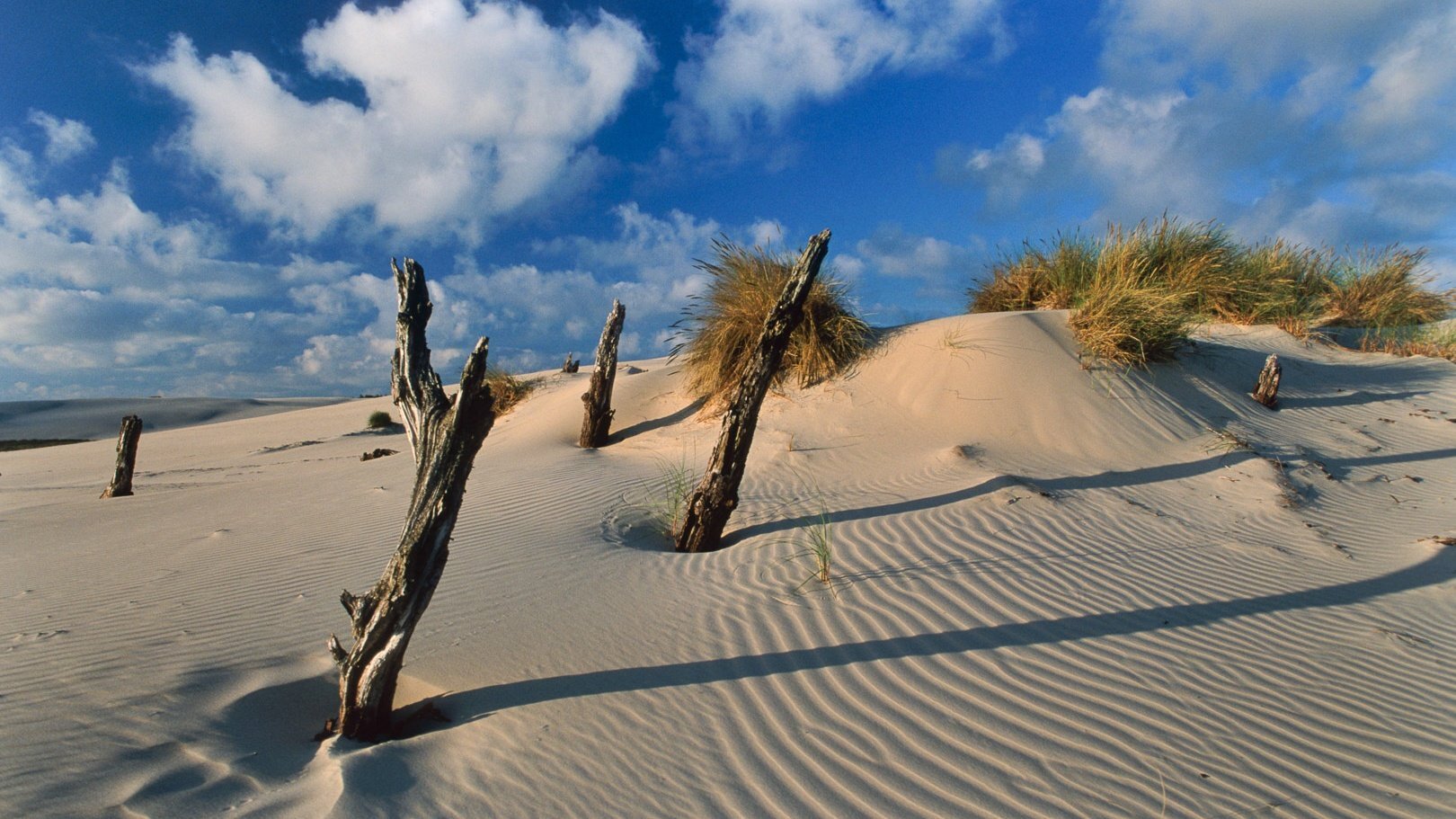 Atrakcje | Saltic Resort