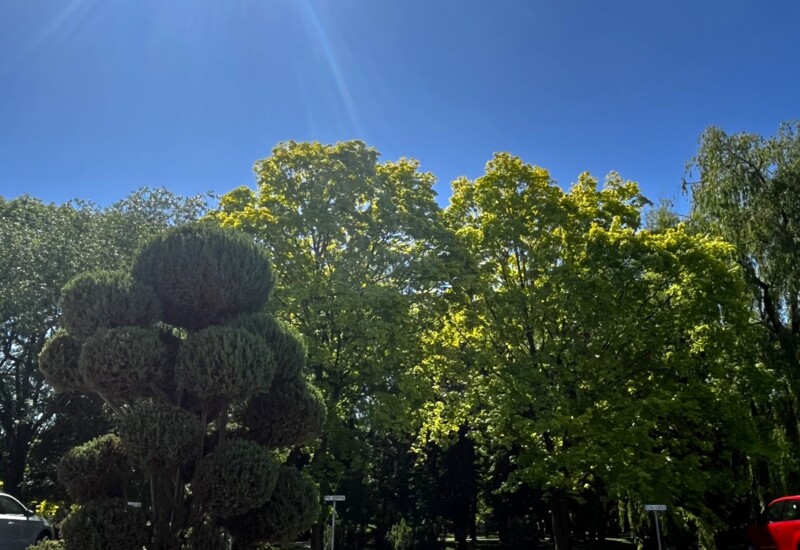 Galeria | „Solanki” Uzdrowisko Inowrocław