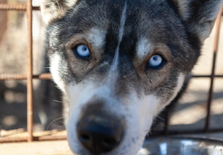 Wilderness Hotel Inari | Finnish Lapland