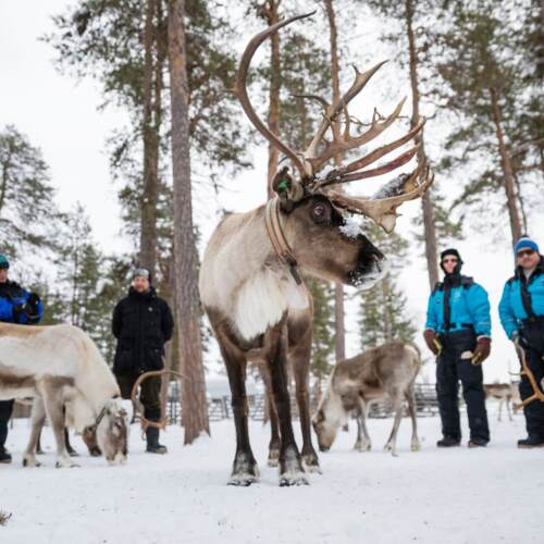 Gallery | Wilderness Hotel Nellim, Finnish Lapland