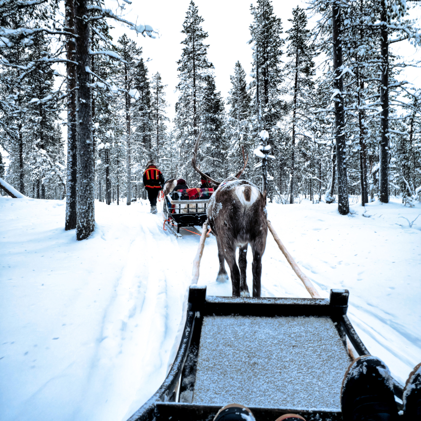 Wilderness Hotels | Arctic Experiences in Finnish Lapland