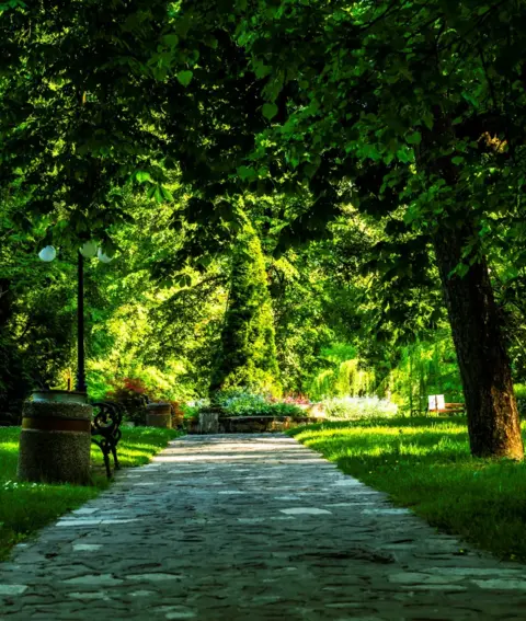 Hotel na Podkarpaciu | Zamek Dubiecko